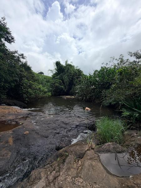 Wayora Resort Vagamon - Vagamon