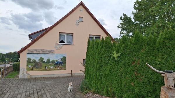 Pension Ronnys Wilde Wiese - Bad Lausick
