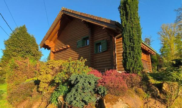 Chalet - La Fuste Du Grand Cerf - Remiremont