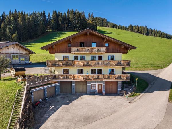 Ferienwohnungen Krapfenalm - Wagrain