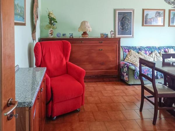 Orchidea - Chieti