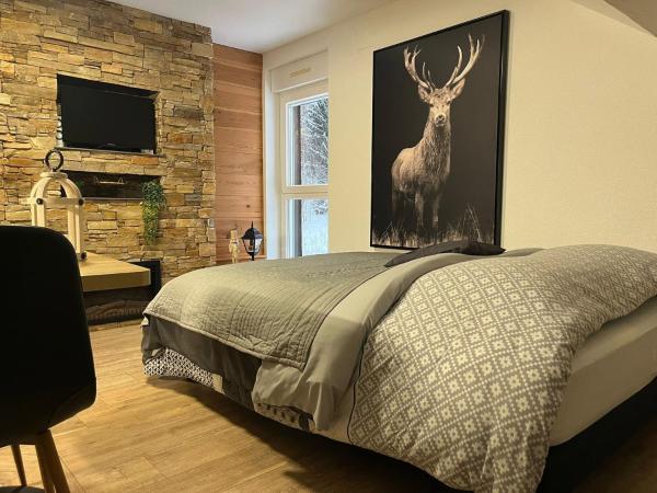 Studio Chalet Des Pistes - Corcieux