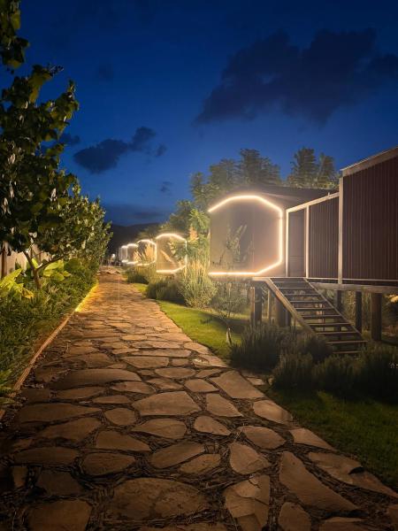 Lua Capsule Rooms - Michoacán