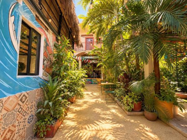 La Redonda Surf Hostel Sayulita - Punta Mita