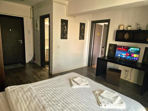 Central Grand Loft - Iași