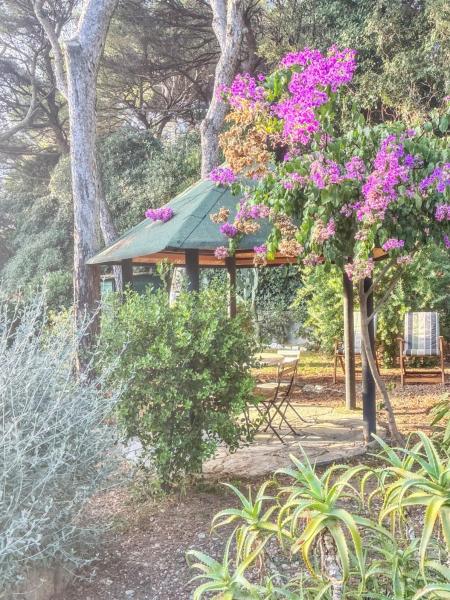 Casa Nora - Rosignano Marittimo