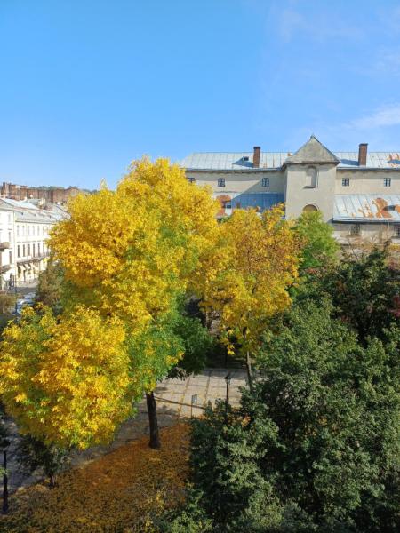 The Heart Of Lviv - Leopoli