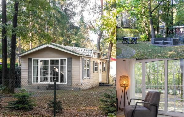 Charming Forest Chalet With Garden & Terrace In Gelderland - Zwolle