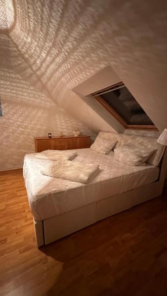 Großzügiges Rooftop Apartment Mit Weitblick Business Und Privat - Limbach-Oberfrohna