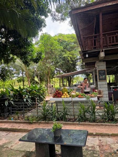 Kampong Chnang Farm - 柬埔寨