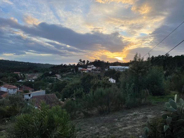 Casa Da Laranjeira - Santa Comba Dão