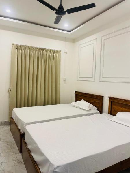 Acacia - Nagaon