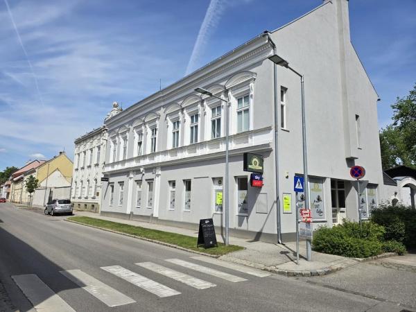 Unterkunft In Der City - Puchberg am Schneeberg