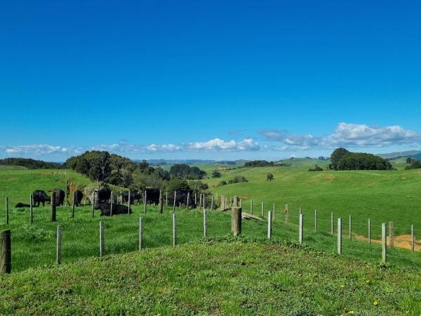 Coastal Country Cabin - Raglan