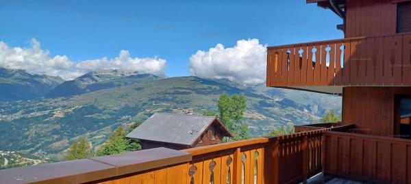 Paradiski Bel Appartement Rénové Plan Peisey - Les Coches