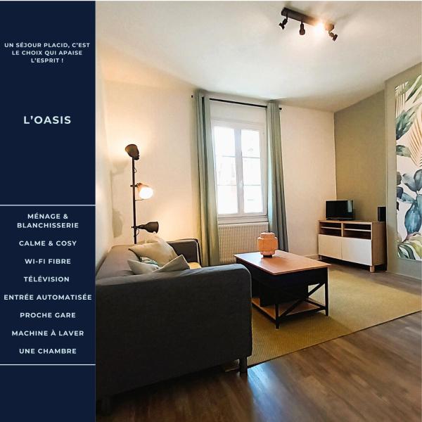 L'oasis-t2 Spacieux-wifi-tv-proche Gare - Tours