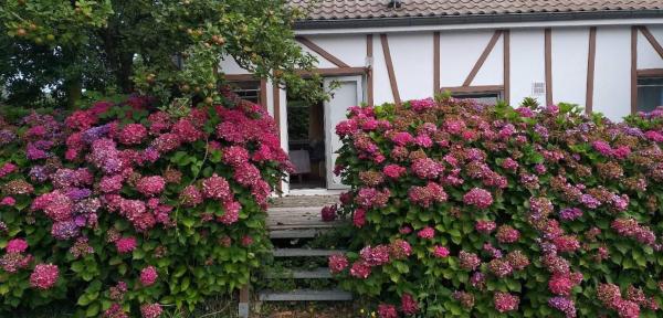 Bungalow Chouette - Veules-les-Roses