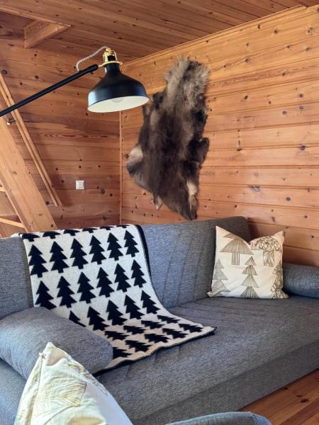 Private Lakeside Koiju Cabin - Laponie