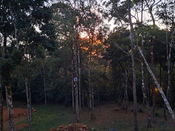 Mount Forestville, Altos De Cerro Azul - Panamá