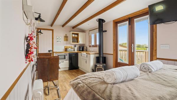 Hafod Shepherd Hut - Borth