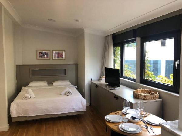 Rich Area In Istanbul Suite 4 - Cihangir