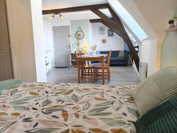 "Le Cocon Audomarois" Studio Centre Ville Avec Parking Privé - Saint-Omer