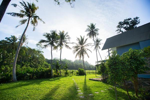 Greencliff Mirissa - Mirissa