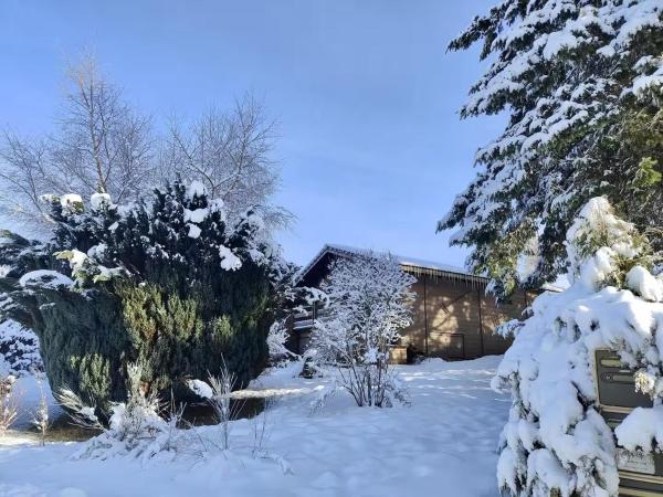 Chalet Des Sapins, Paisible Avec Terrasse Et Jardin - Gérardmer