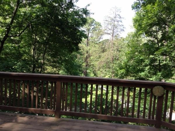 Treehouse, Amazing Deck View, Nearby River Access - Shenandoah, VA