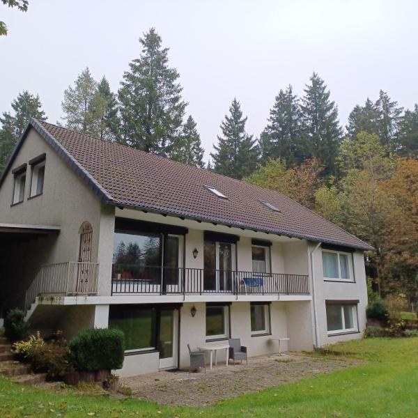 Haus Birkenblick - Goslar