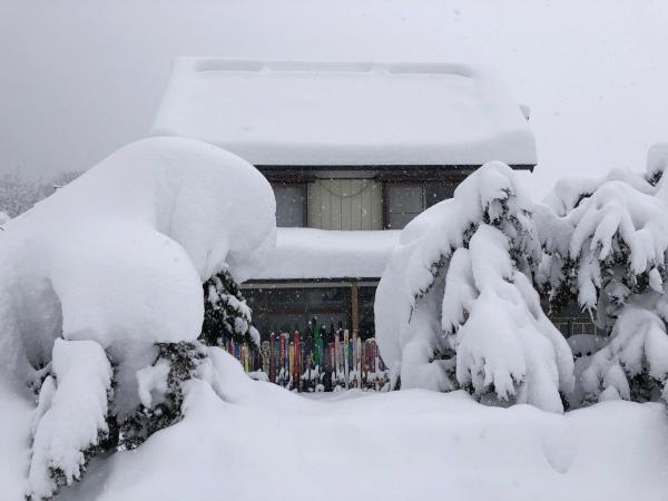 The Drop Inn, Hakuba, Free Pickup & Daily Shuttle - Hakuba