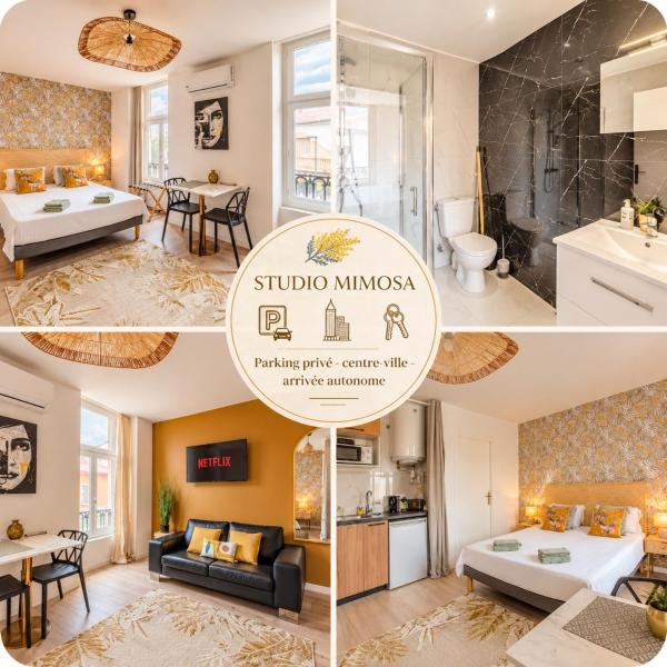 Mimosa Roanne Centre-ville - Parking & Clim - Mably