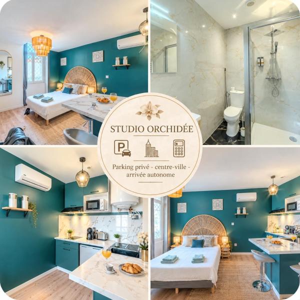 Orchidée Parking & Clim - Roanne Centre-ville - Mably