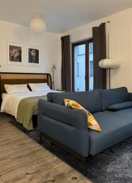 Modern Studio In Old Town - Poznań