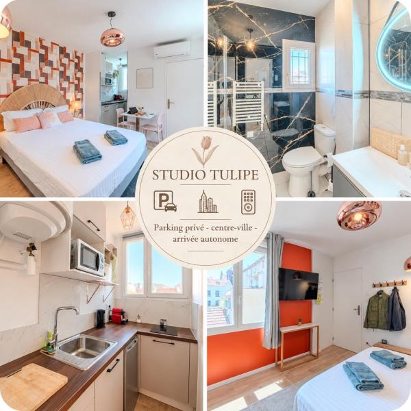 Tulipe Roanne Centre-ville - Parking & Clim - Mably