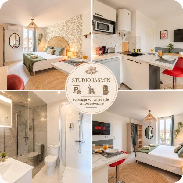 Jasmin Roanne Centre-ville - Parking & Clim - Mably
