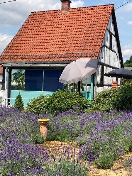 Ferienhaus Mit Sauna, Wintergarten, Terrasse Im Schönen Hochtaunus, Ruhige Lage - Kelkheim (Taunus)