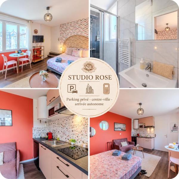 Rose Roanne Centre-ville - Parking & Clim - Mably