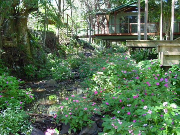 Treetops Montville - Maleny