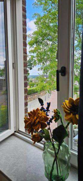 Appartement Theeblad Met Sauna - Aachen