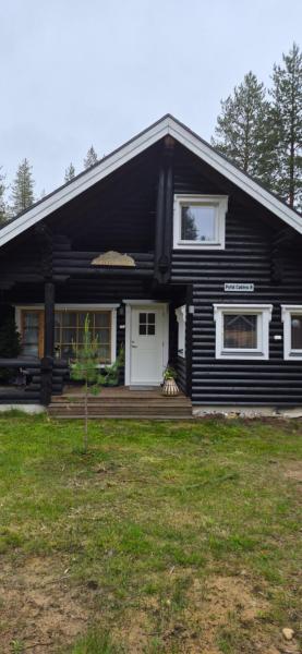 Pyhän Kortepuolukka - Lapland