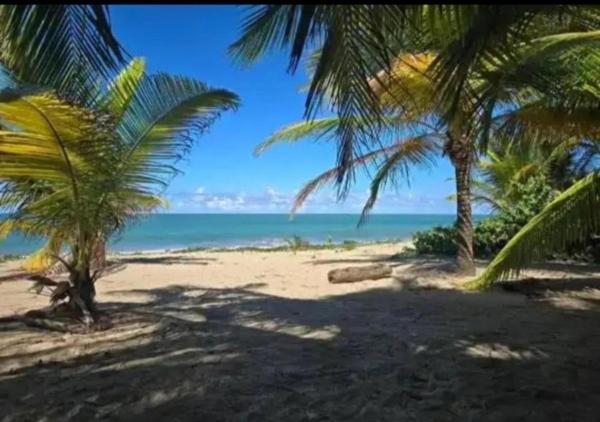 Exclusive Beachfront Retreat With Private Pool In Loza, Puerto Rico - Porto Rico