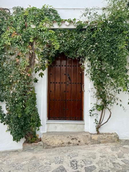 Cuevas Del Peñón - Grazalema