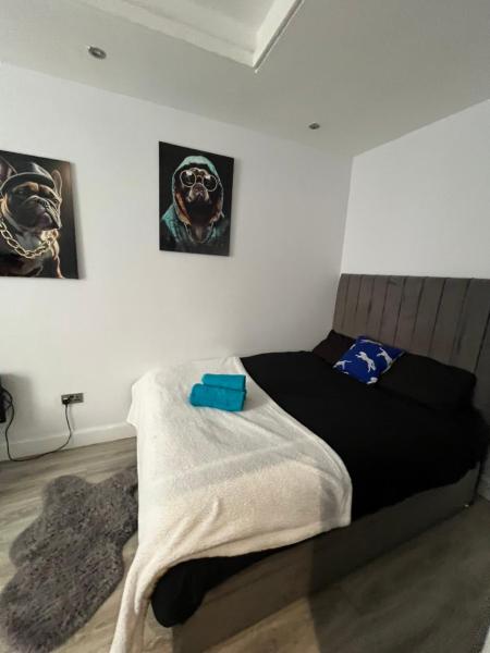 Spacious 2 Bedroom Apartment Near Tynecastle Sleeps 6 - Edinburgh Waverley station