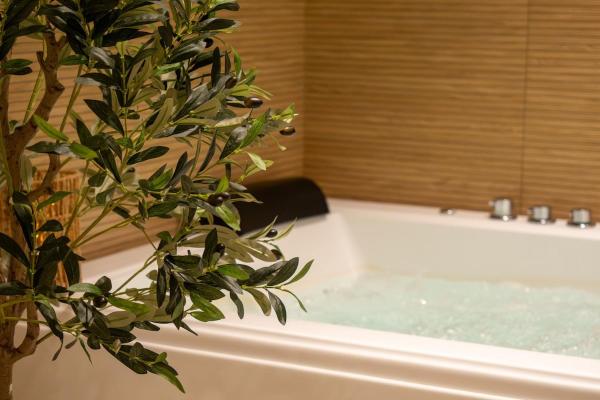 Maison Venell Concarneau - Spa, Balnéo, Sauna & Jardin - Calme En Centre-ville - Concarneau
