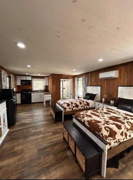 Tiny Cabin - Alabama