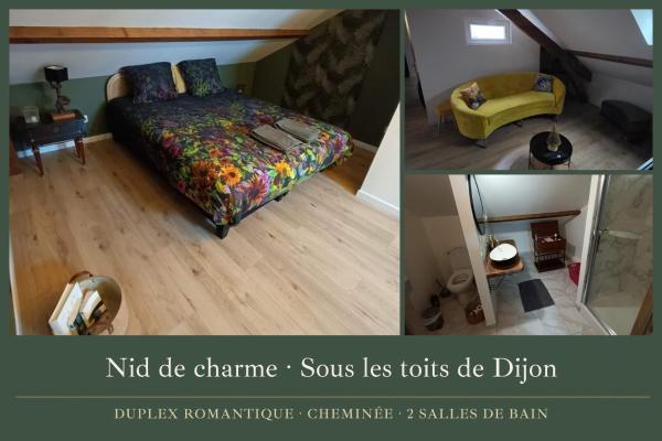 Nid De Charme Pour Soirée Romantique - Gevrey-Chambertin