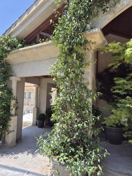 Hotel Camino De Mide - 比戈
