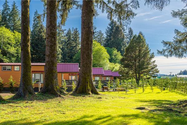 Centrally Located, Pet-friendly With Starlink - Forks, WA