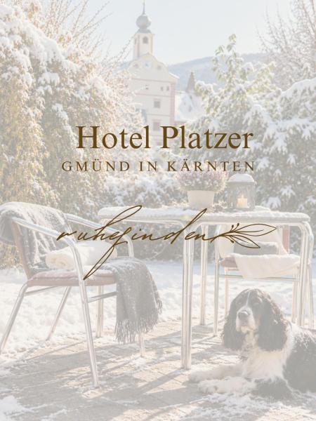 Hotel Restaurant Platzer - Carinthia